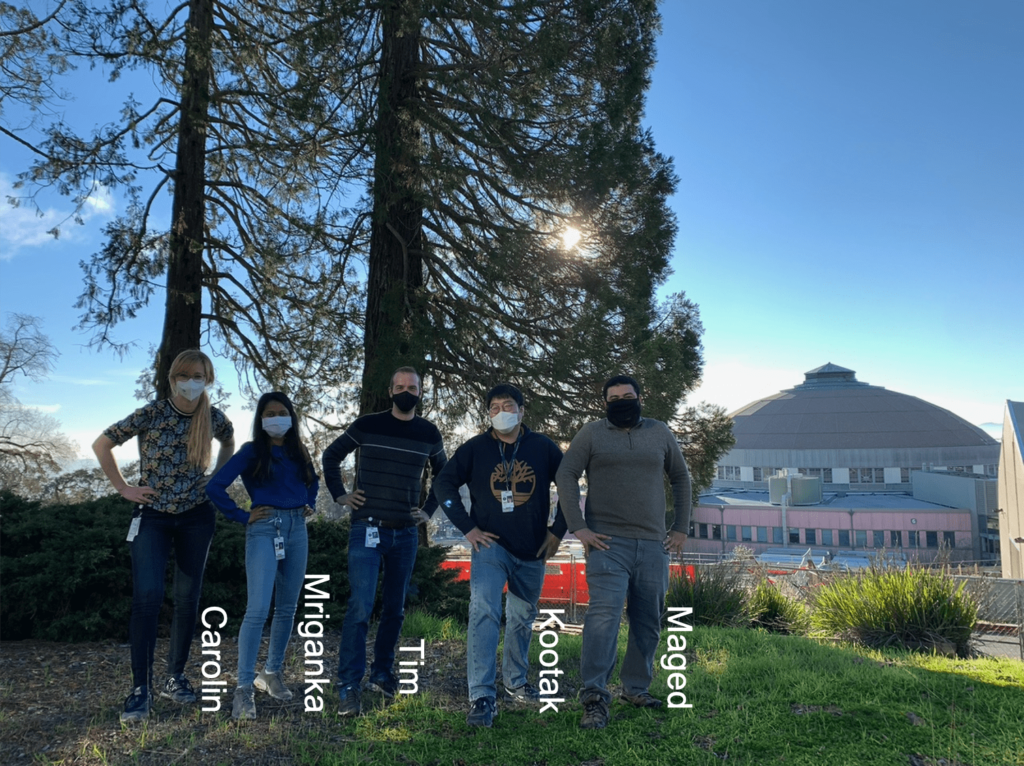 Team – Materials for Energy Conversion